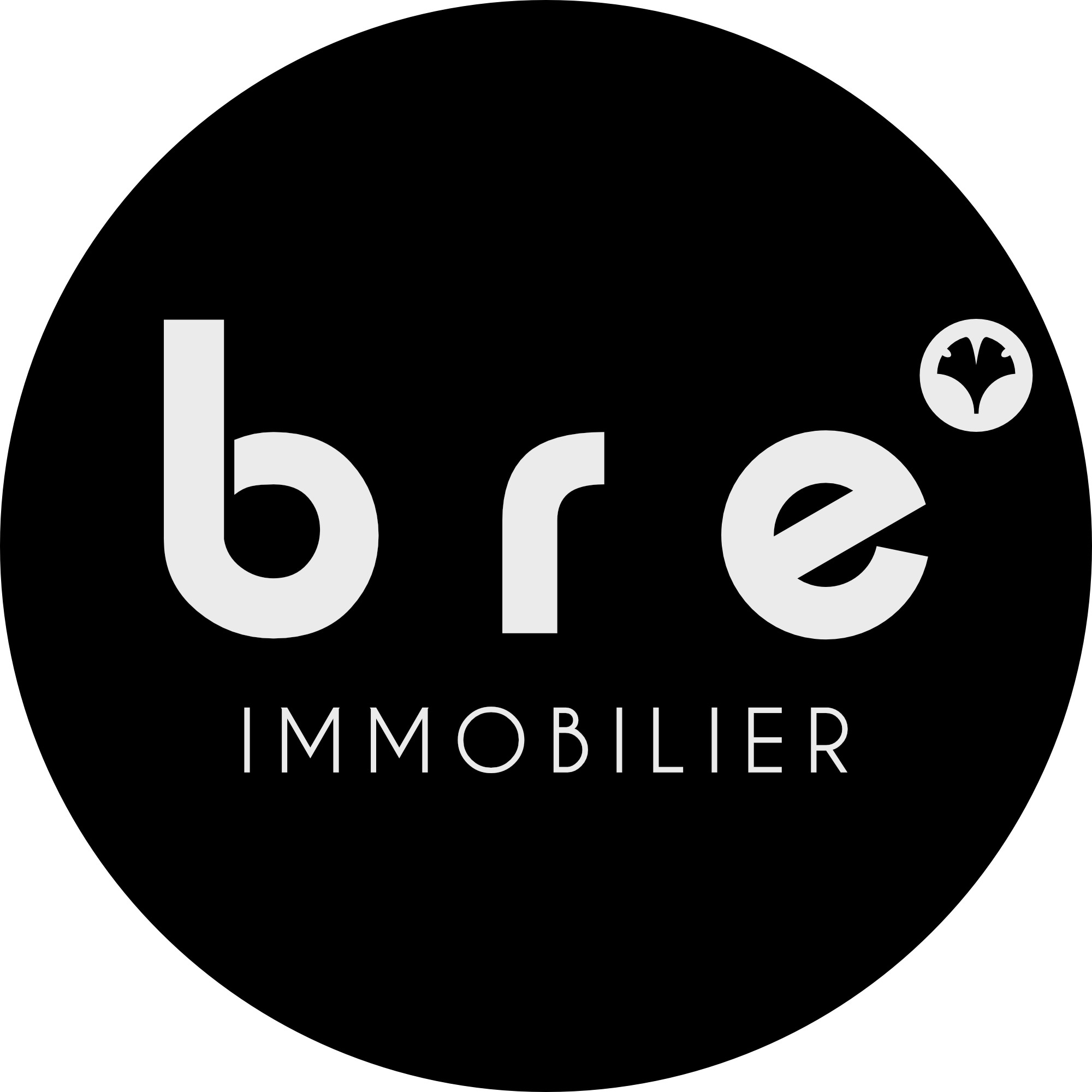 BRE IMMOBILIER - SLUC Nancy Basket